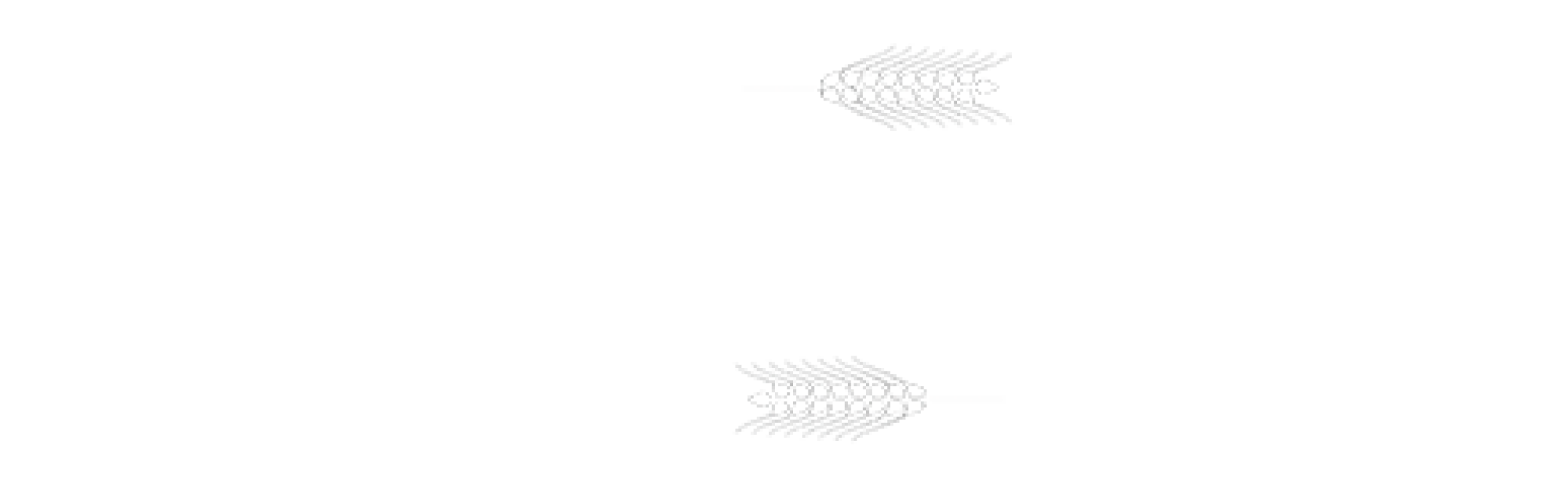 Rock And Rye | Whisky & Cocktail Bar In San Antonio TX