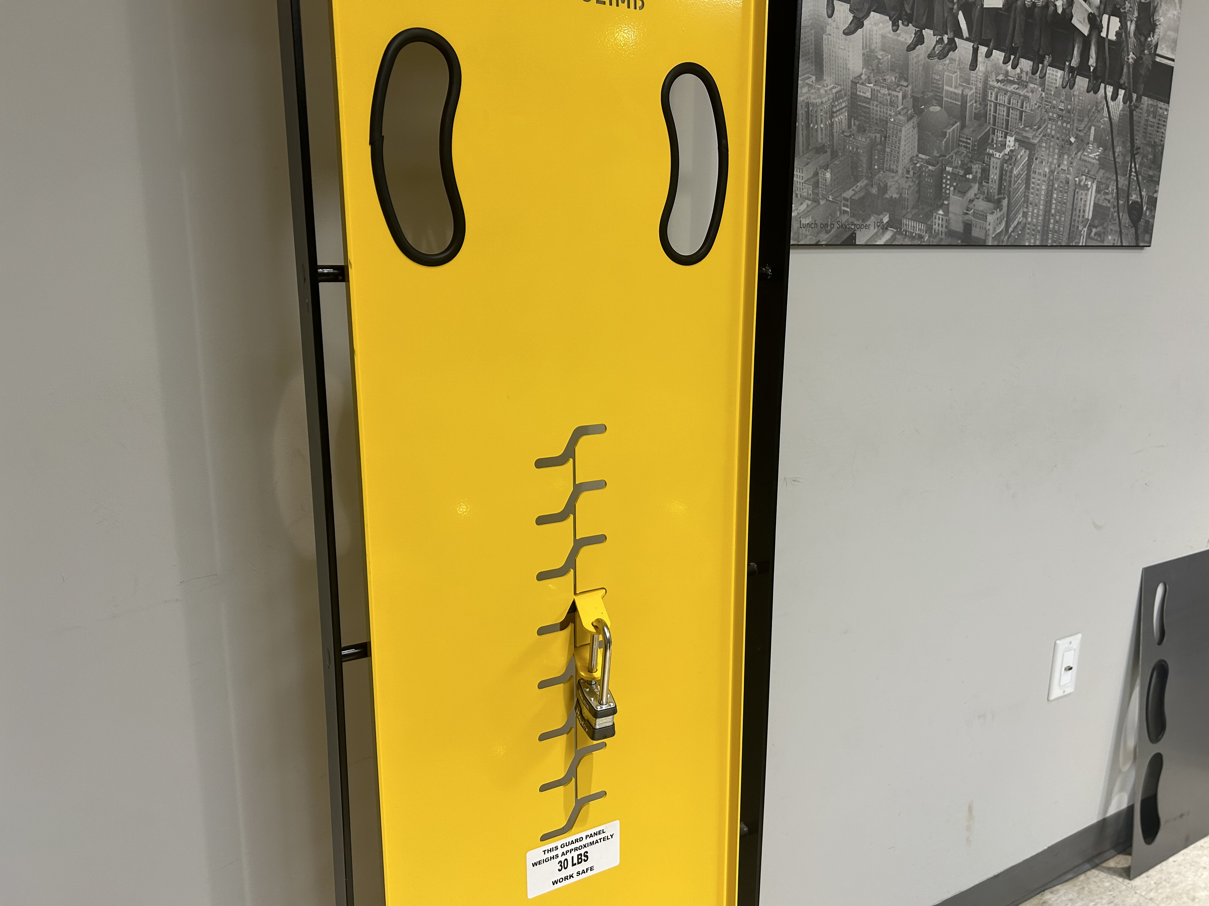 Access Ladder Safety Guard | Custom Lockable Ladder Guards