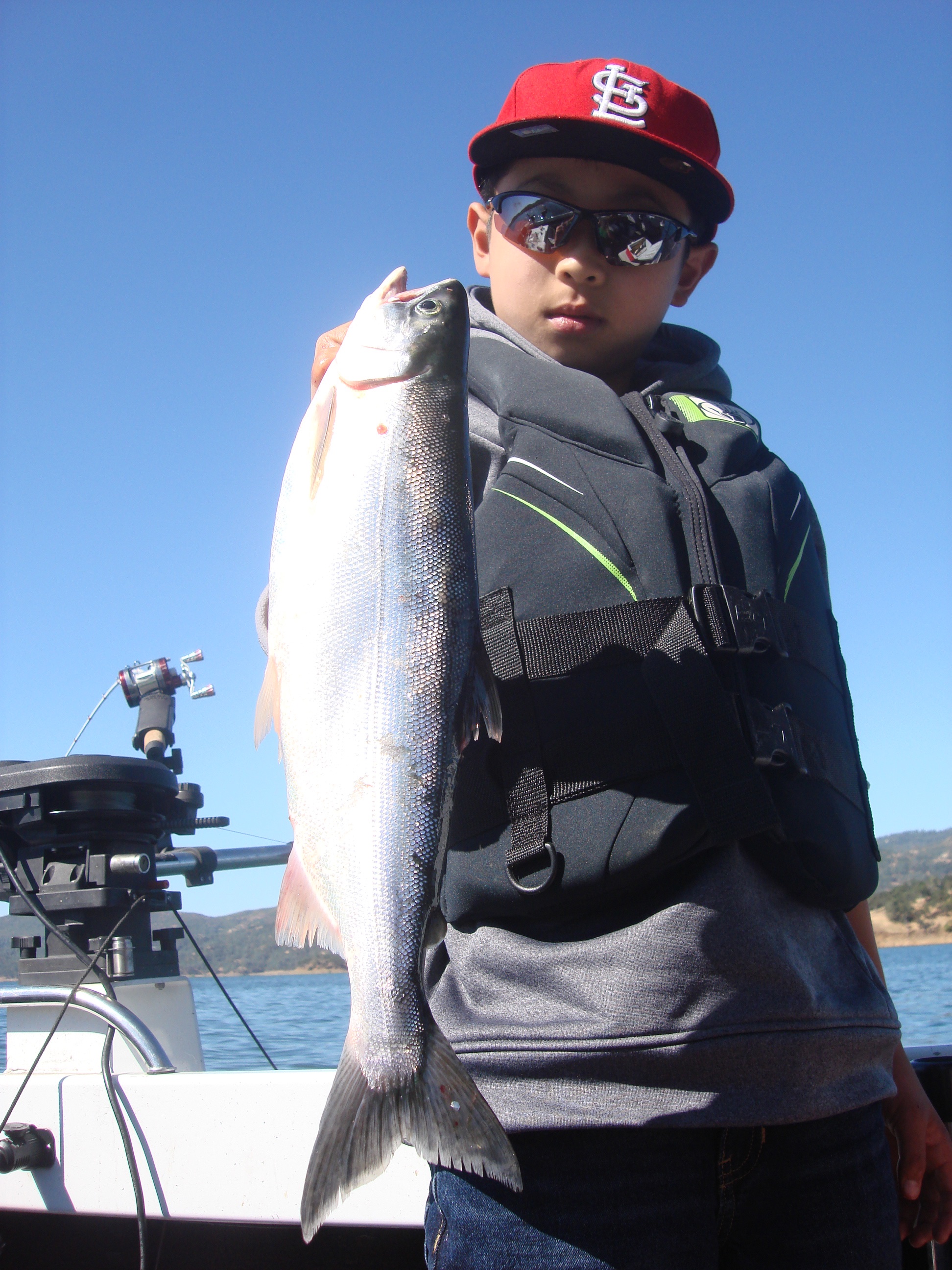 Tyler Family Fund | MIB Programs, Osteosarcoma Research