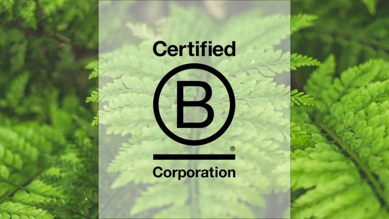 The Insides Company Receives B-Corp Certification