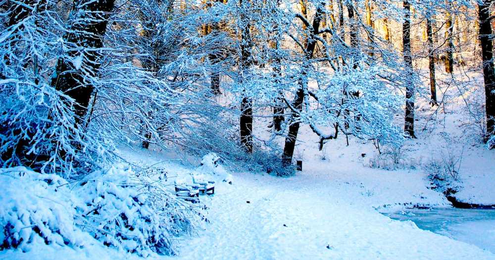 20 best winter walks and hikes in Belgium