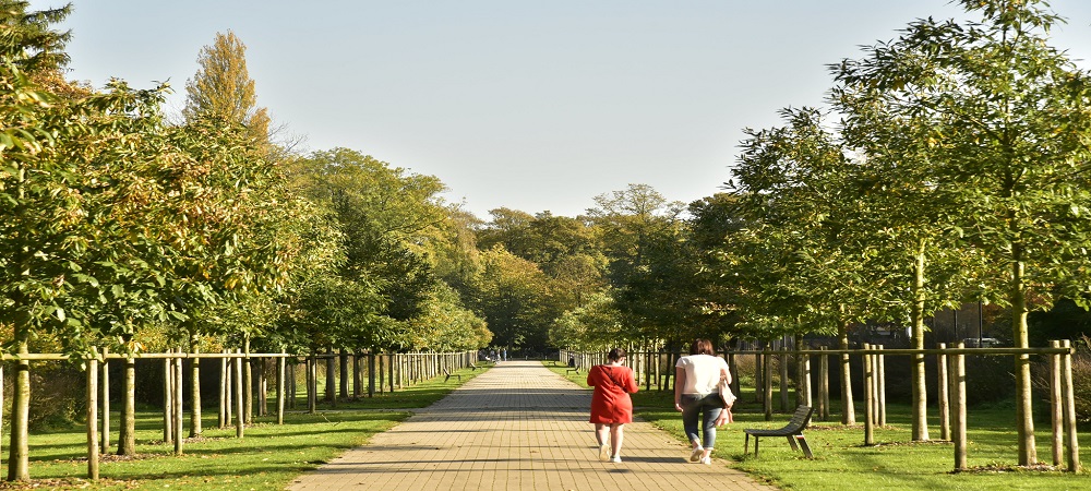 Fantastic flower gardens to see this spring in Belgium