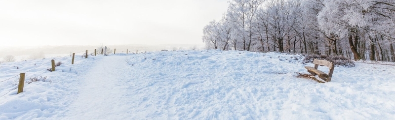 10 Best Winter Hikes in the Netherlands