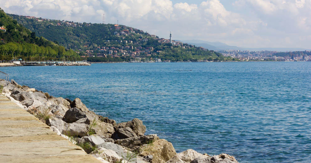 Dive into the Adriatic Sea: a local’s guide to the coast and beaches of ...