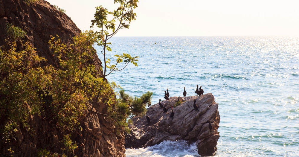 Dive into the Adriatic Sea: a local’s guide to the coast and beaches of ...
