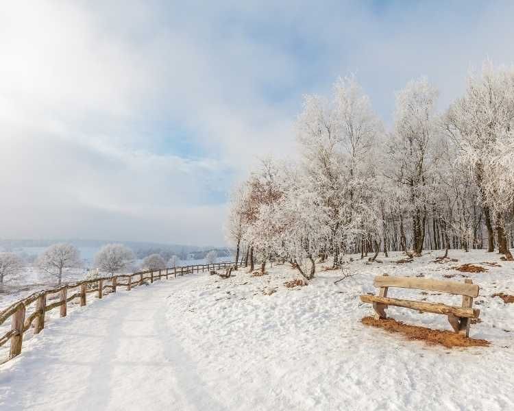 10 Best Winter Hikes in the Netherlands