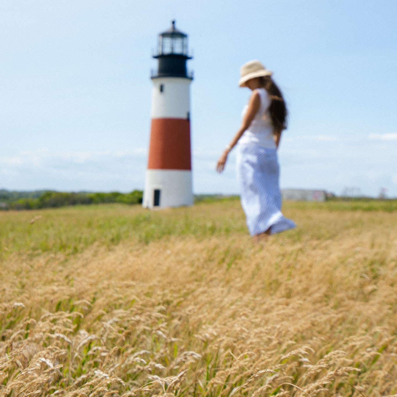 Nantucket's Gems: Curated Excursions by Blue Iris