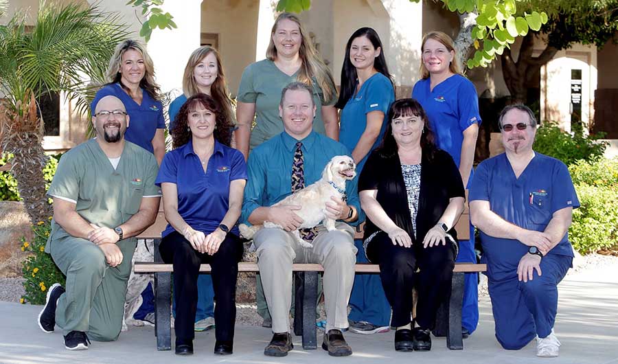 Top Rated Pet Oncologist in Gilbert, AZ I Arizona Veterinary Oncologist