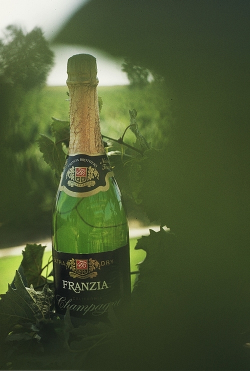 Bronco Wine Co. - Gallery