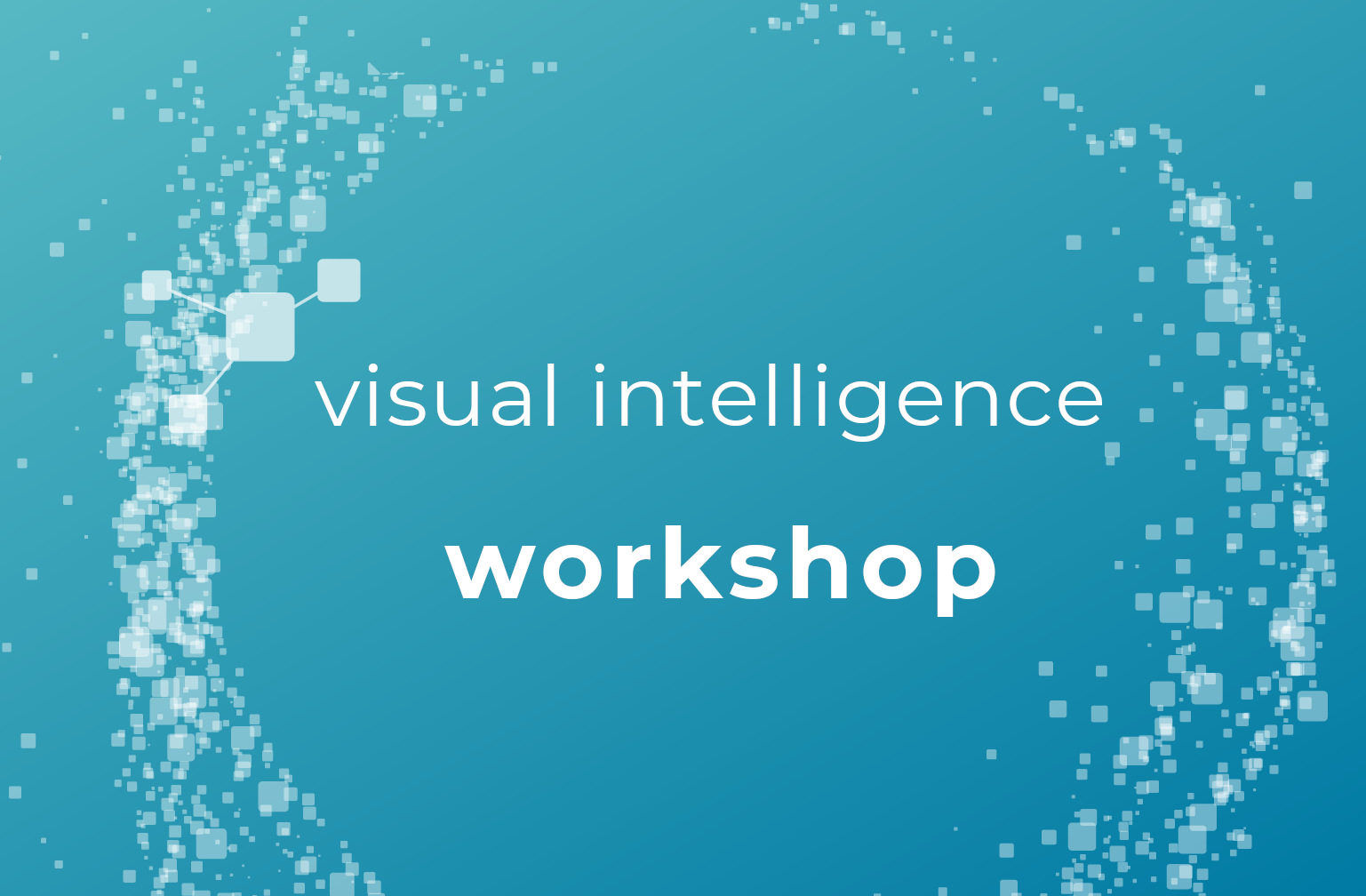 Workshop on Learning from limited training data - SFI Visual Intelligence