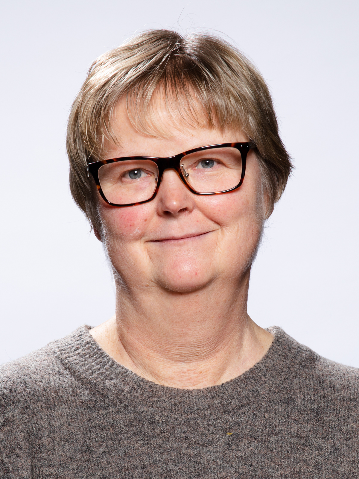 Anne Solberg - SFI Visual Intelligence