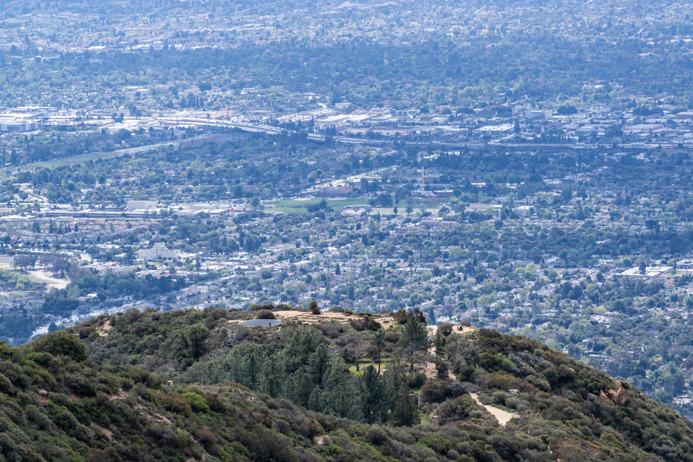 20 Dog-Friendly Hikes in the Greater Los Angeles Area - Barkbus Ruff Draft