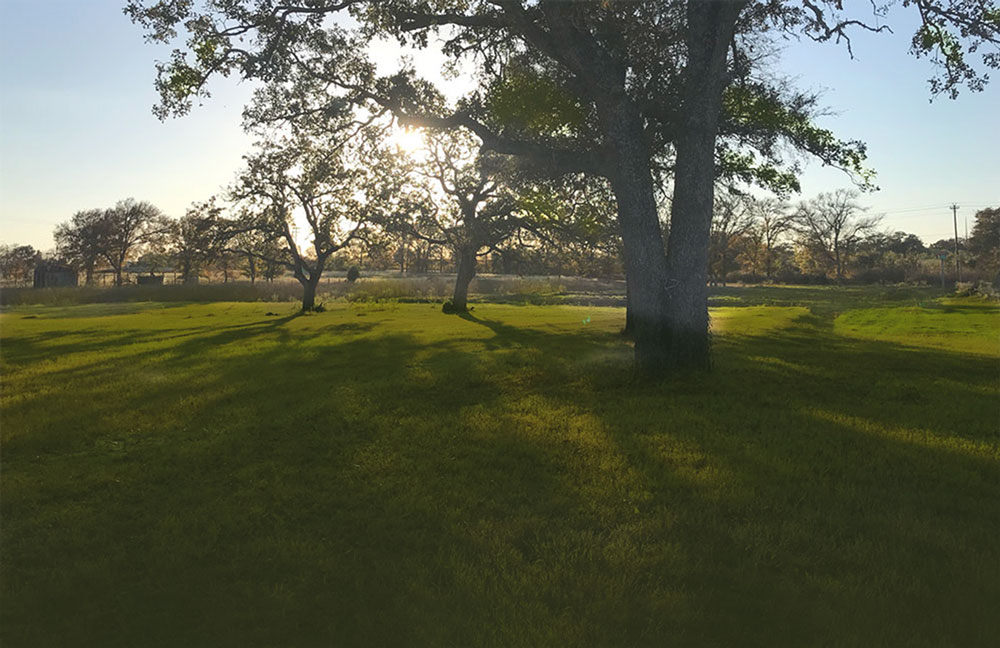 About Austonia RV Resort & Community in Austin, TX