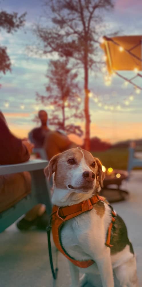 Austonia RV Resort & Community in Austin, TX