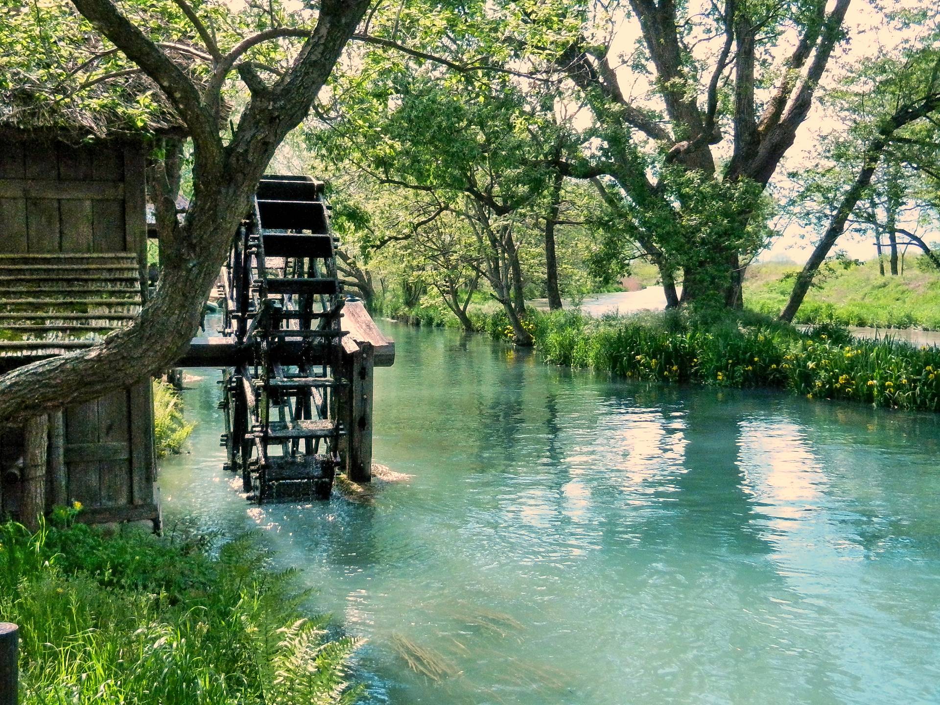 Realms of Ancient Kisoji