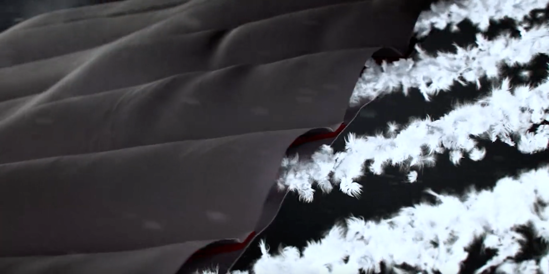 Trevor Fleming - Portfolio