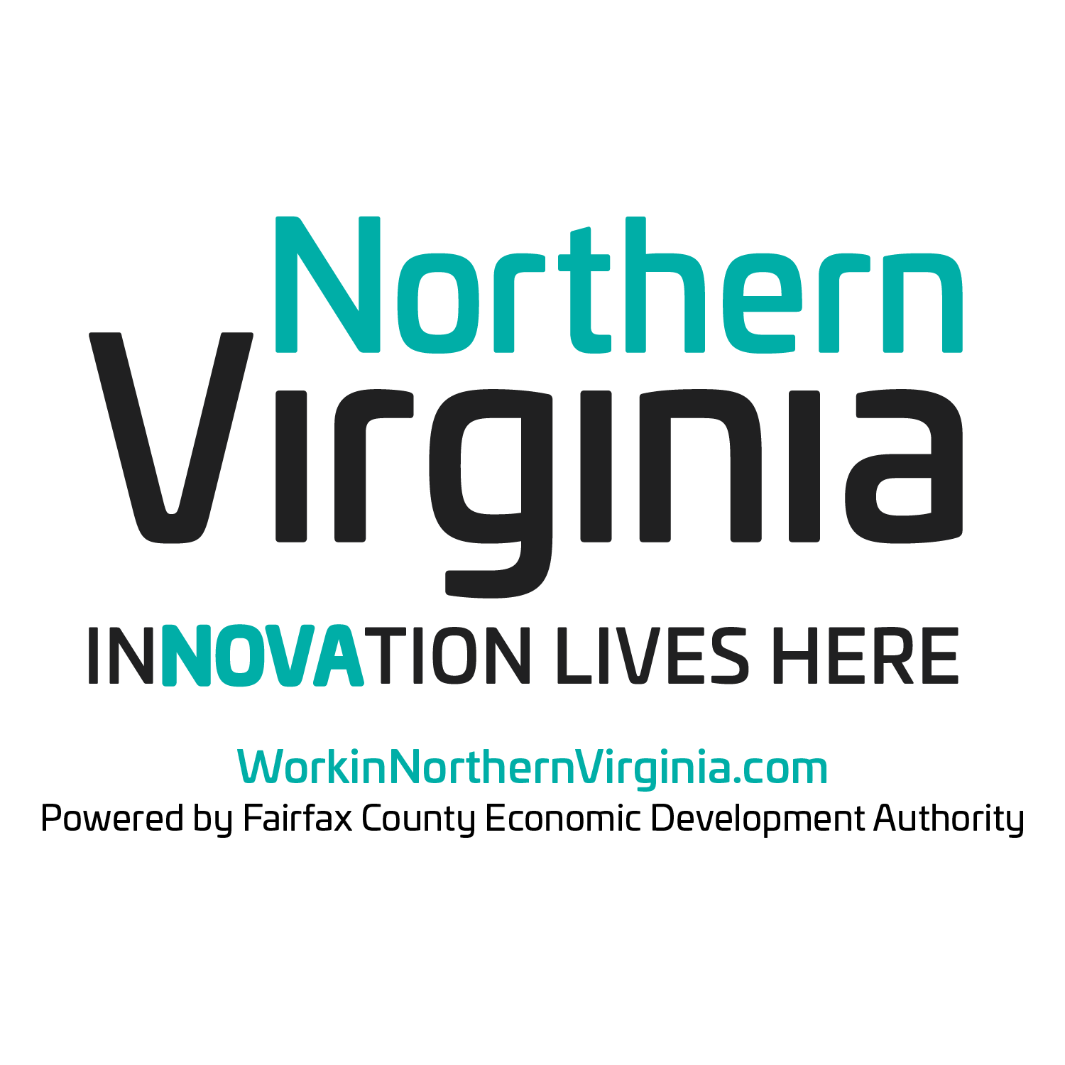 Northern Virginia Black Chamber of Commerce | Home