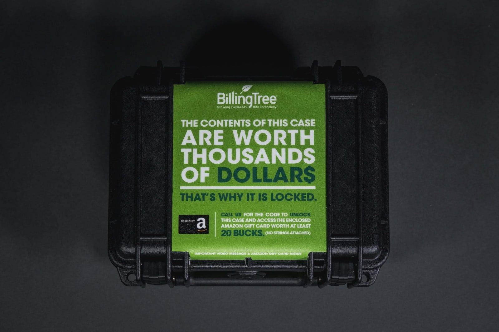 B2B Direct Marketing Campaign for BillingTree Payments