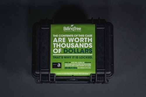 B2B Direct Marketing Campaign for BillingTree Payments