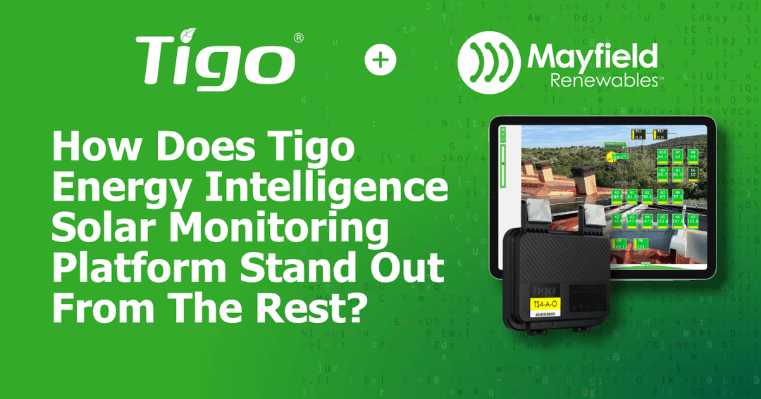 How Does Tigo Energy Intelligence Solar Monitoring Platform Stand Out ...