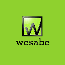 What Happened to Wesabe and Why did it Lose Against Mint?
