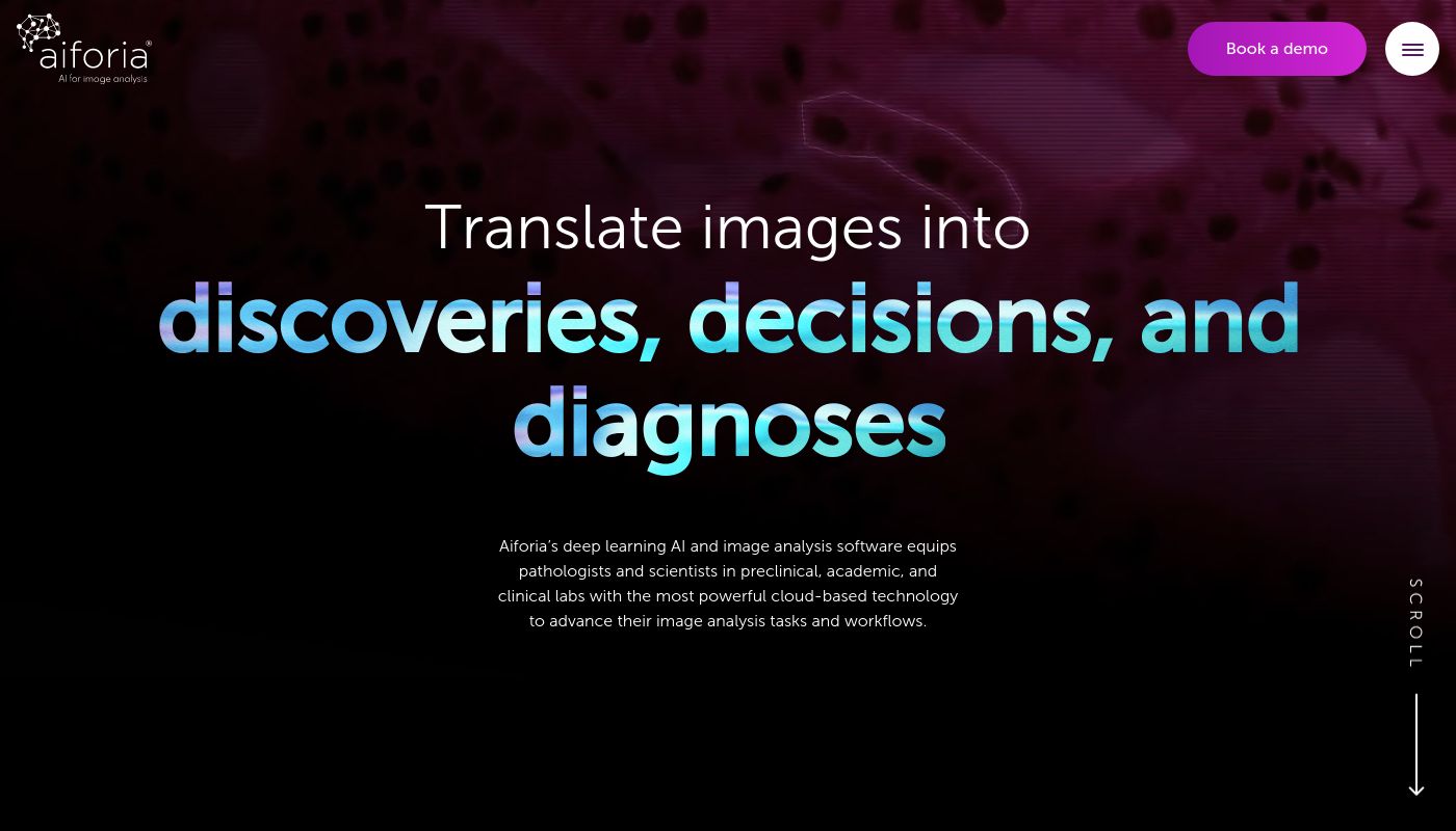 Top 300 Machine Learning Startups in 2024