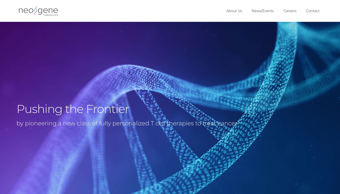Top 300 Startups in The Netherlands in 2024