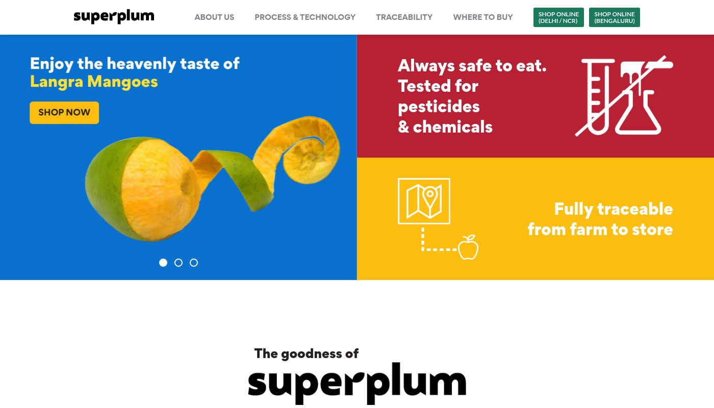 Top 29 Startups in Noida in 2024