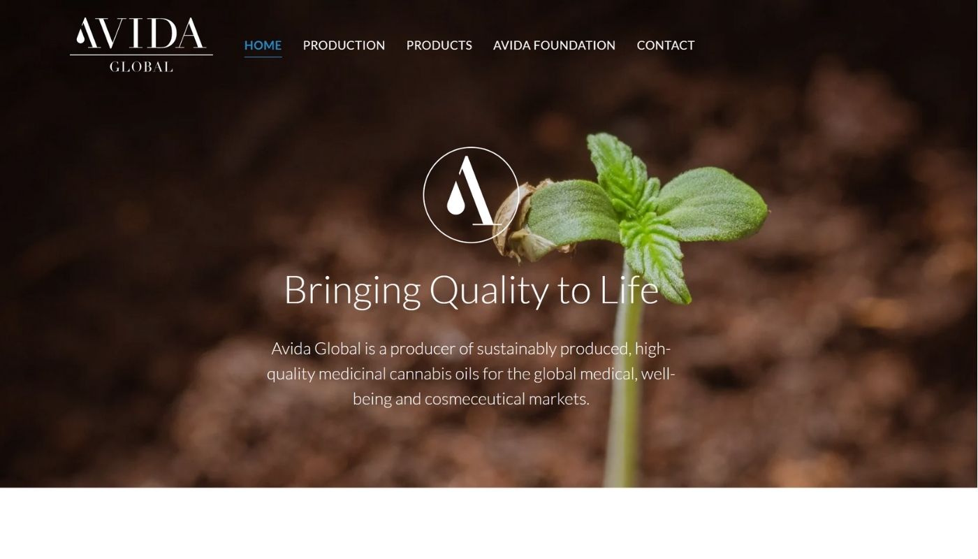 Top 219 Medical Startups in 2024