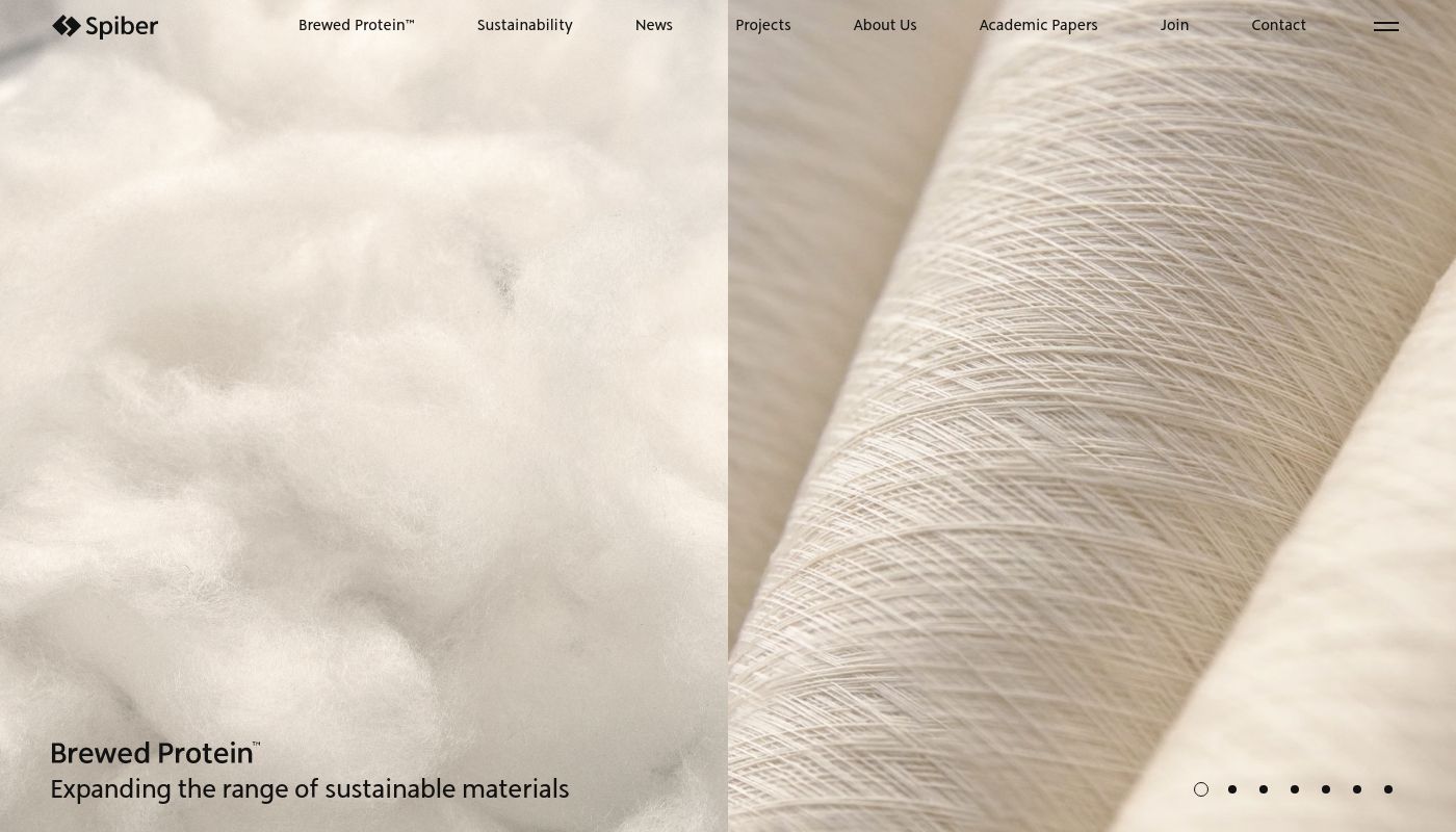 The 7 Unicorns Founded in Japan (2024)