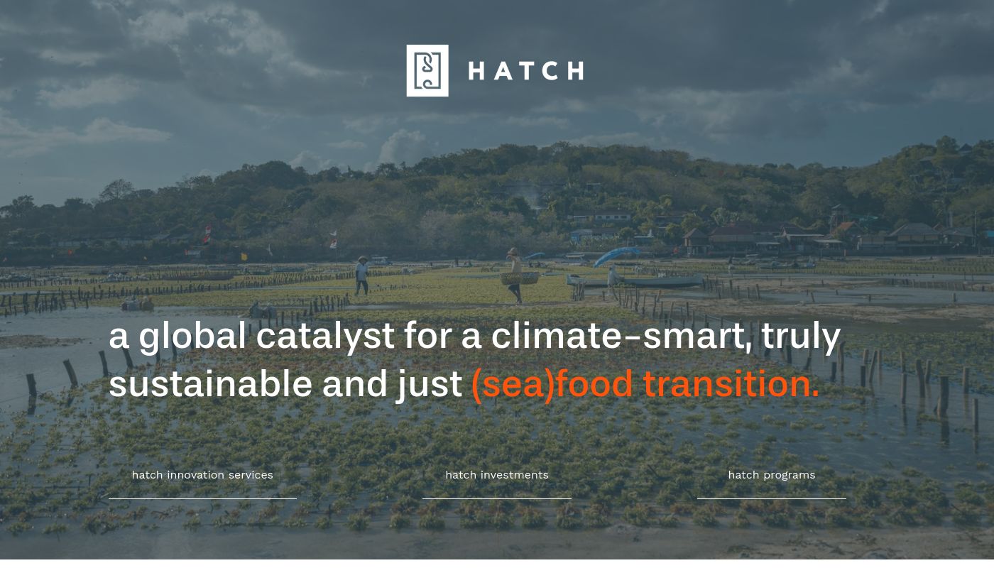 Top 18 Accelerators and Incubators in Ireland in 2024