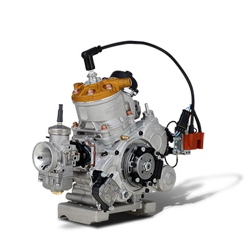 Vortex ROK - Black Racing Engines