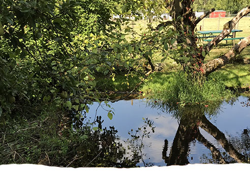 Washington State Conservation Commission