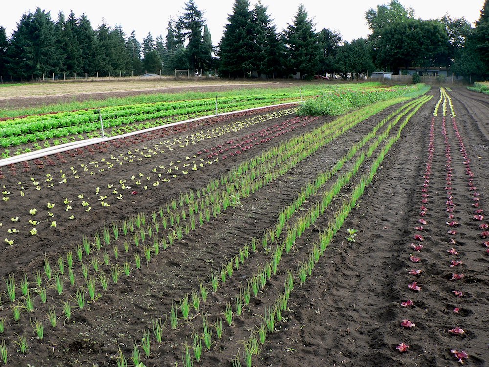 Washington State Conservation Commission