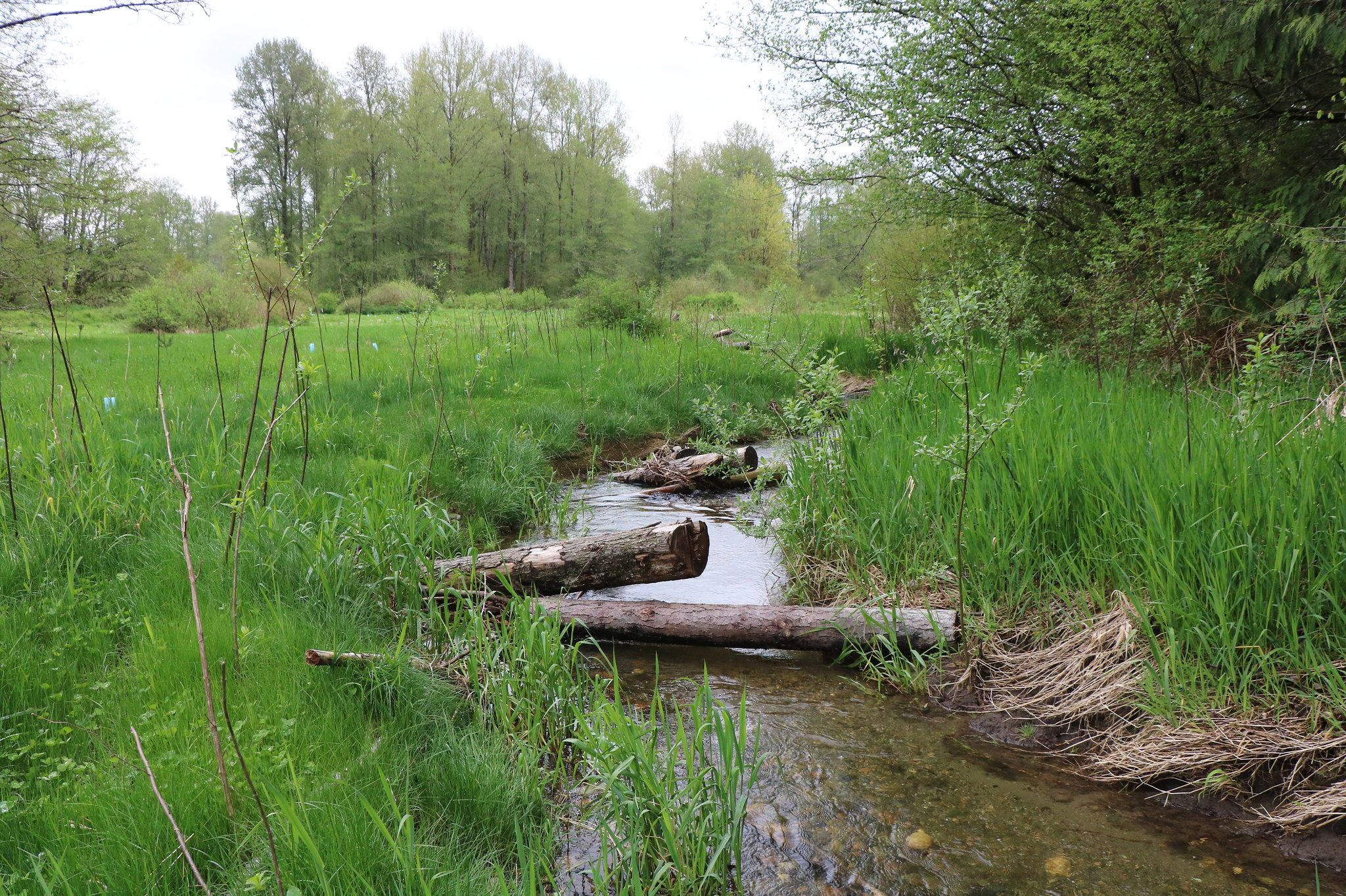 Washington State Conservation Commission