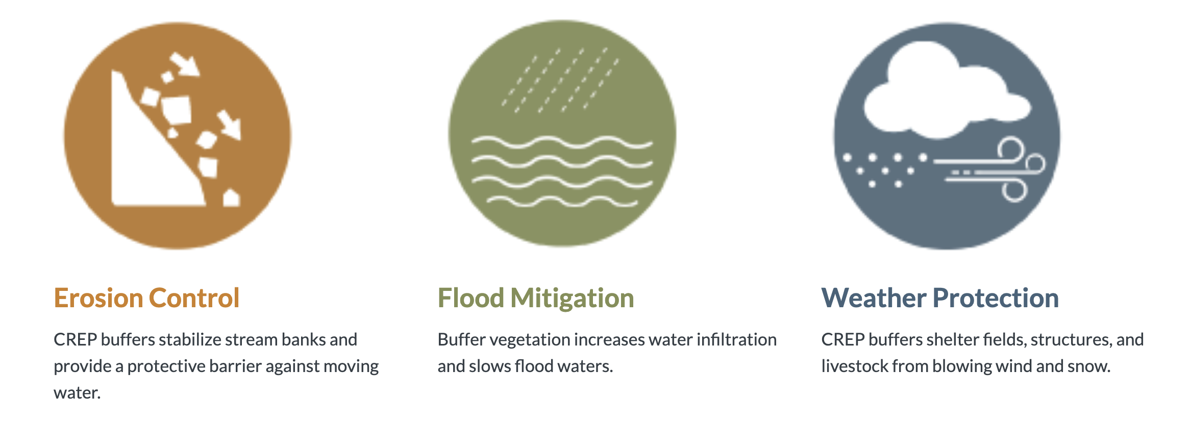 Conservation Reserve Enhancement Program (CREP)