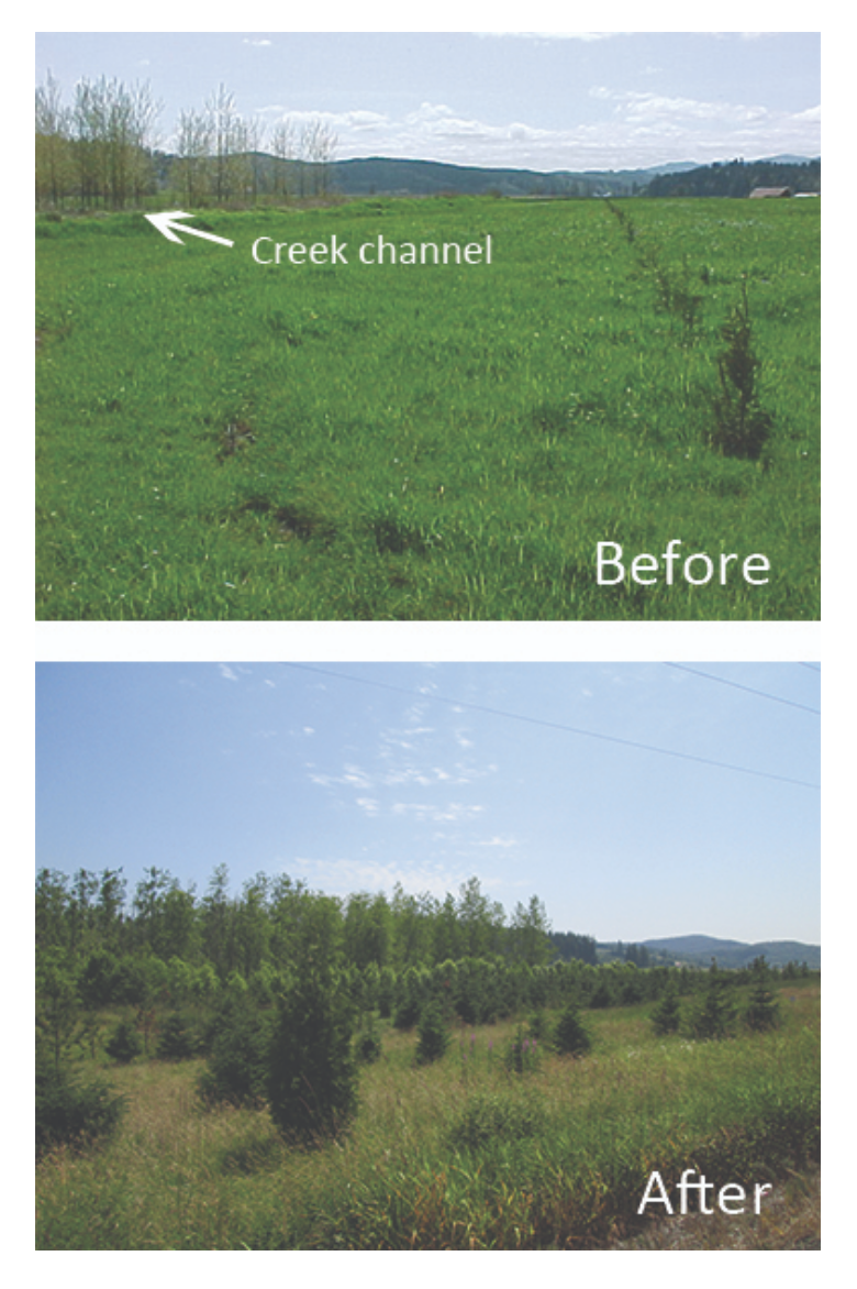 Conservation Reserve Enhancement Program (CREP)