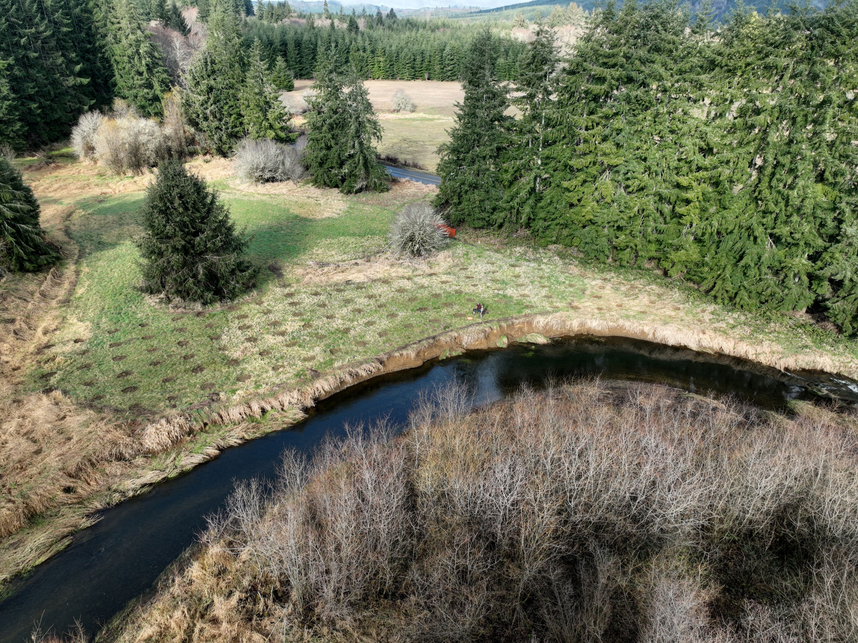 Riparian Grant Program Rgp