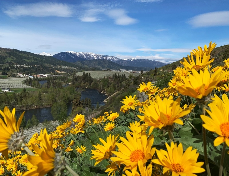 Washington State Conservation Commission | Partnering with you to ...