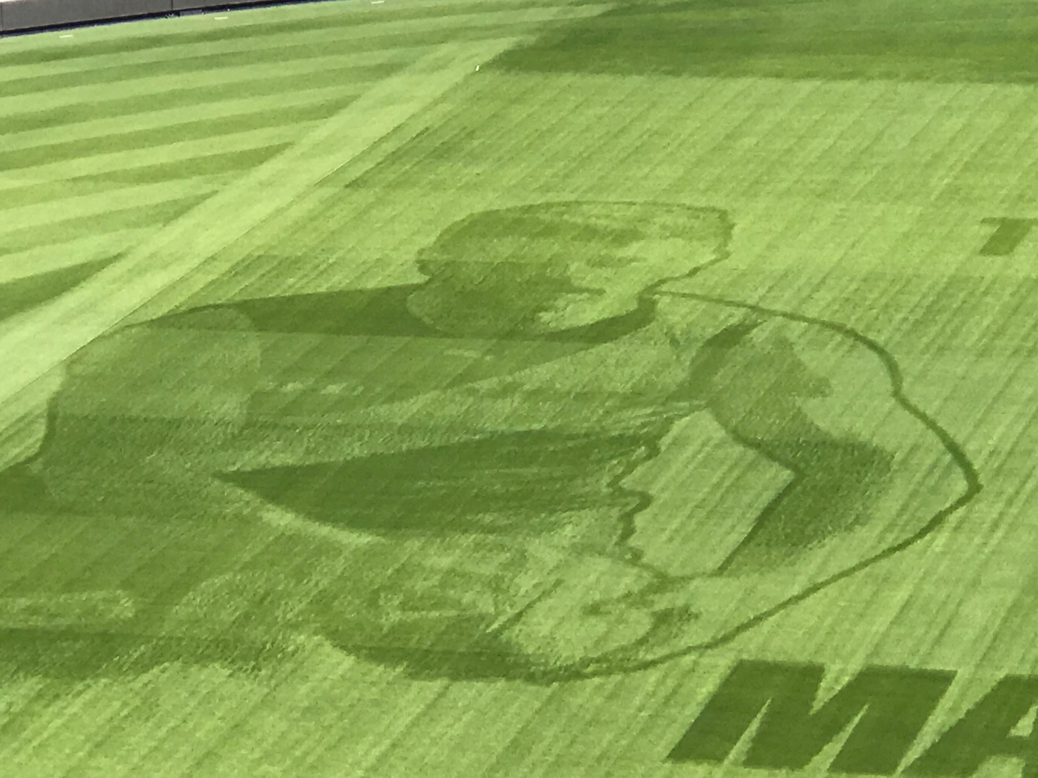 Products | Sports Turf | HG Turf