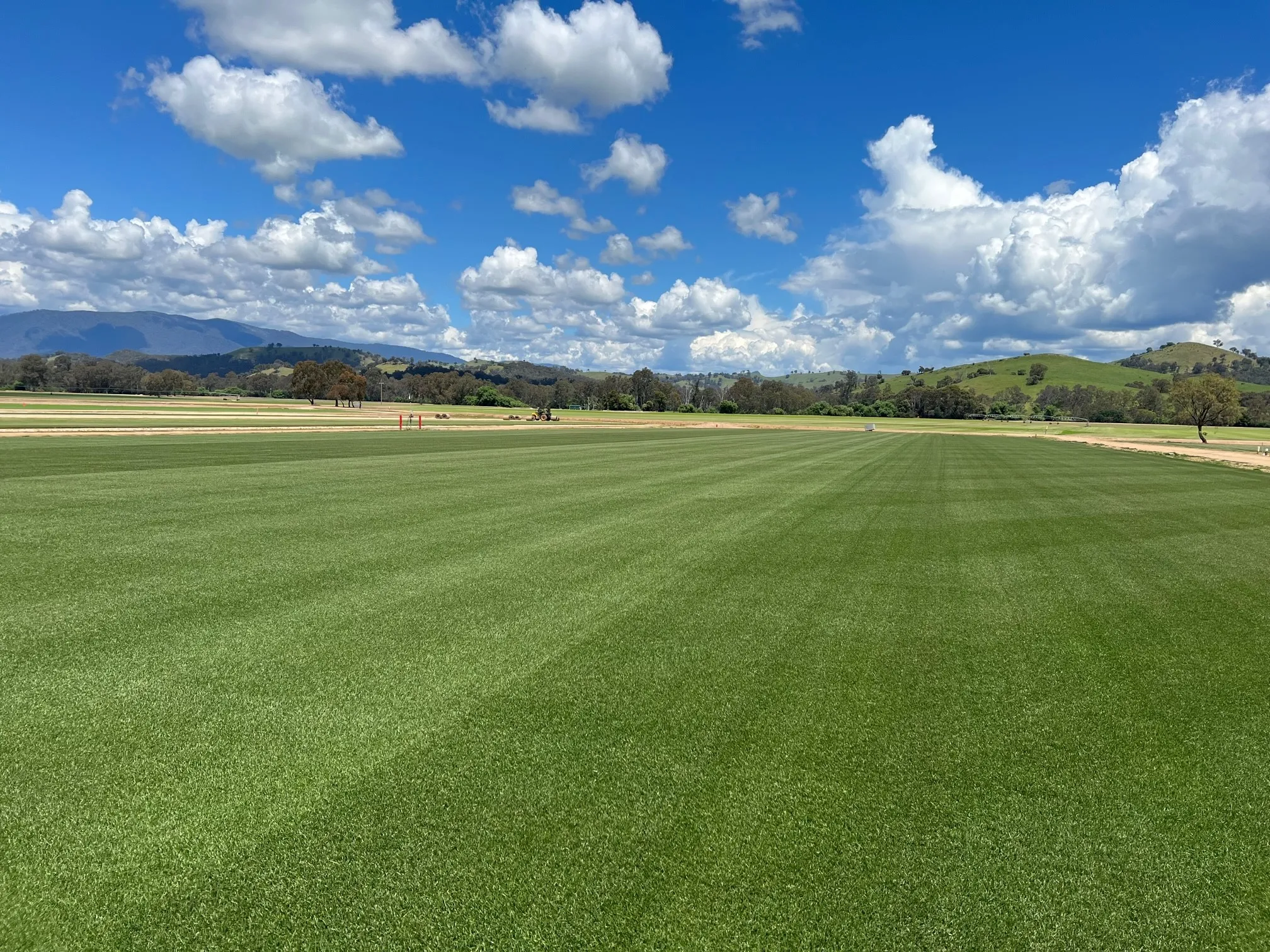 HERO Hybrid Grass | HG Turf