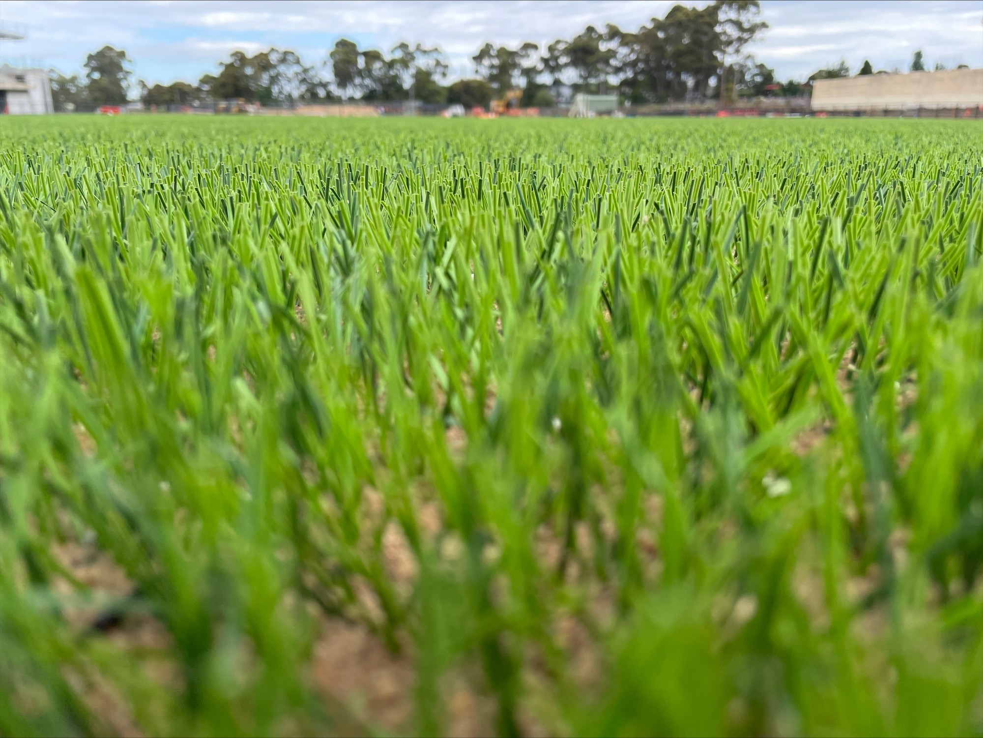 Let's Talk Hybrid Grass with Hamish Sutherland | HG Turf