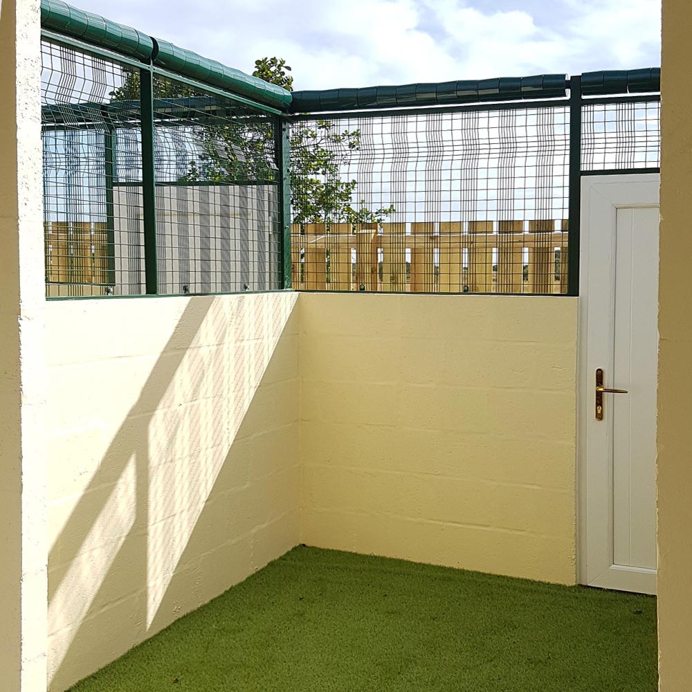 See how special Moss Croft Country Kennels is.