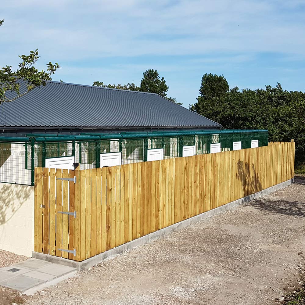 See how special Moss Croft Country Kennels is.