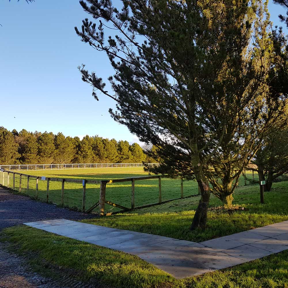 See how special Moss Croft Country Kennels is.