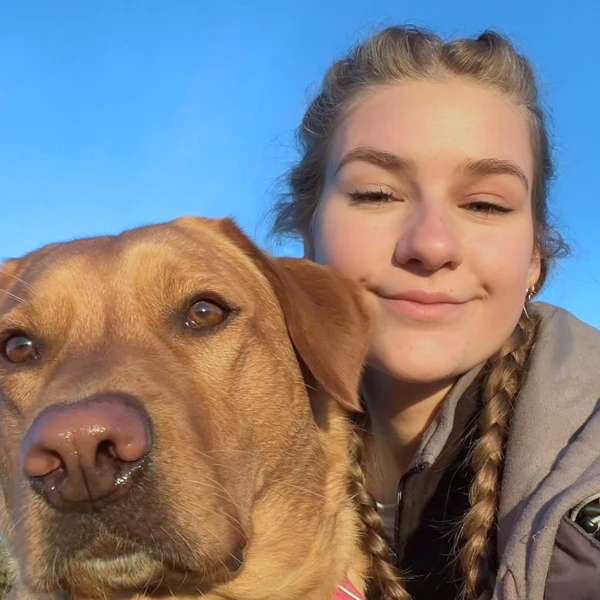 Get to know us at Moss Croft Country Kennels.