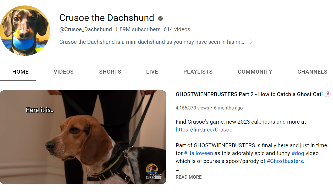 How Many Hashtags Should You Use for Each Social Platform | Hashtag Expert