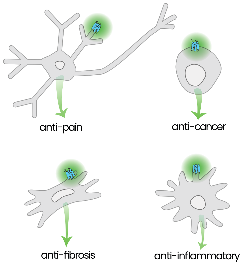 Abalone Bio | Activating therapeutic biology