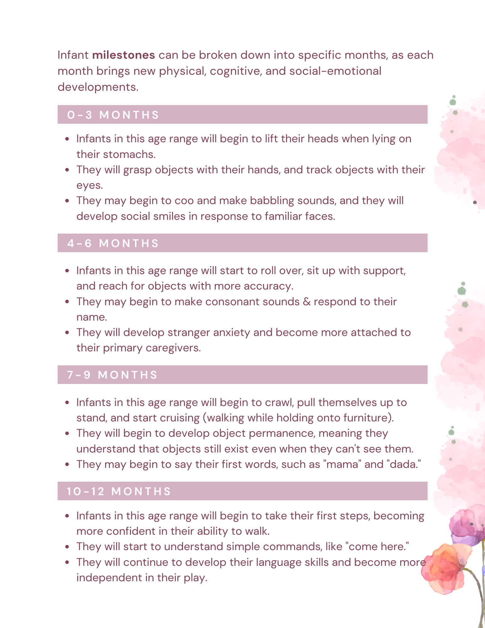 Editable Infants Milestones & Developmental Needs Printable Flyers ...