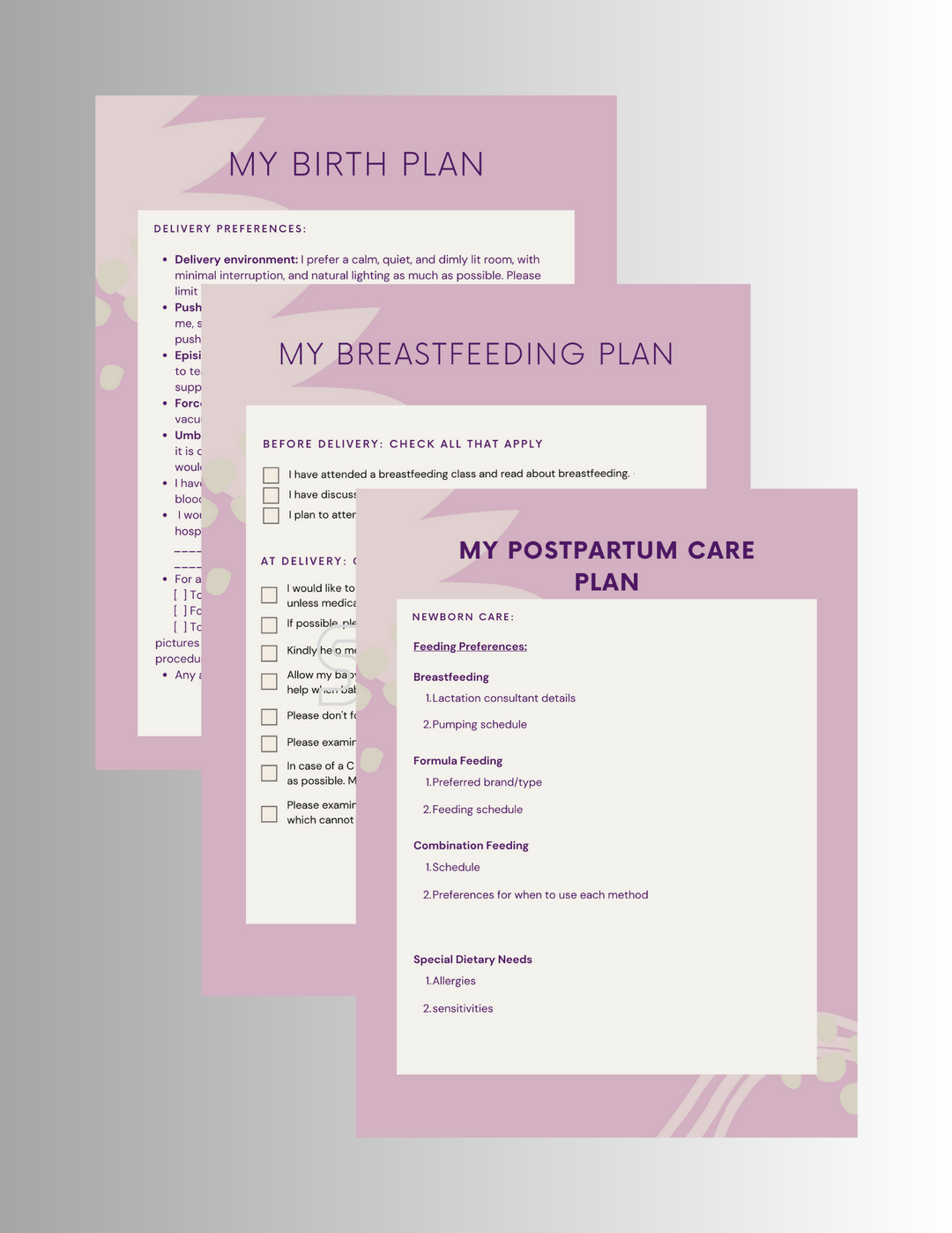 Editable Sample Birth, Breastfeeding & Postpartum Care Plan Templates ...